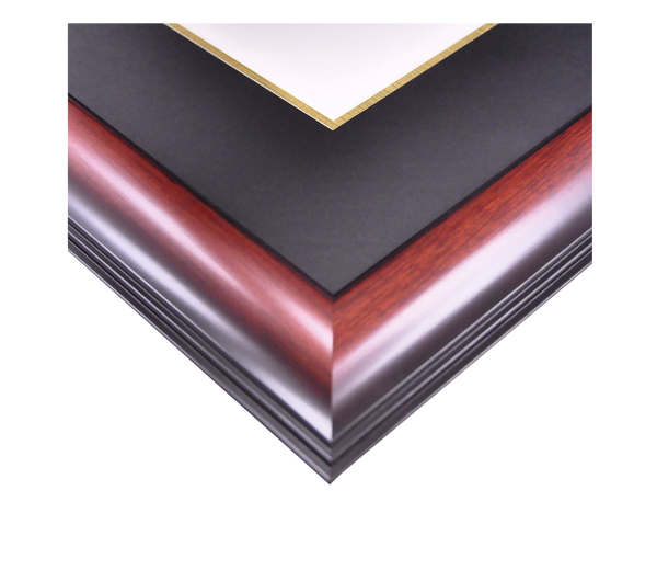 University of California, Irvine 8.5 x 11 Gold Embossed Diploma Frame ...