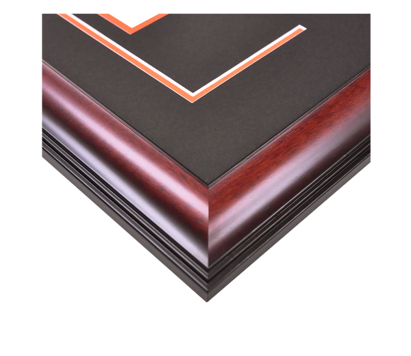 Illinois State Redbirds 11w x 8.5h Spirit Graduate Frame with Campus I ...